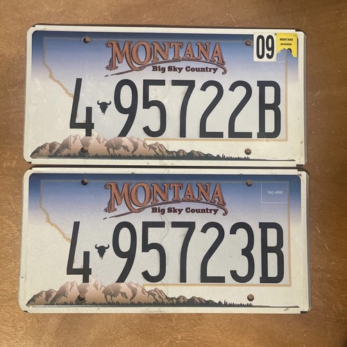 2019 Montana License Plates Consecutive Numbers # 4-95722-23 B | eBay