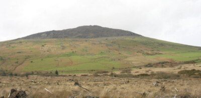 Photo 6x4 Western edge of the former forest Bwlch-derwin c2007 | eBay UK