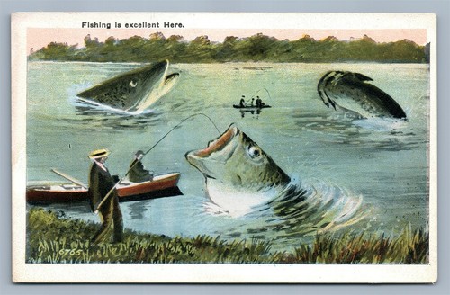 EXAGGERATED FISH ANTIQUE POSTCARD FISHING IS EXCELLENT HERE | eBay