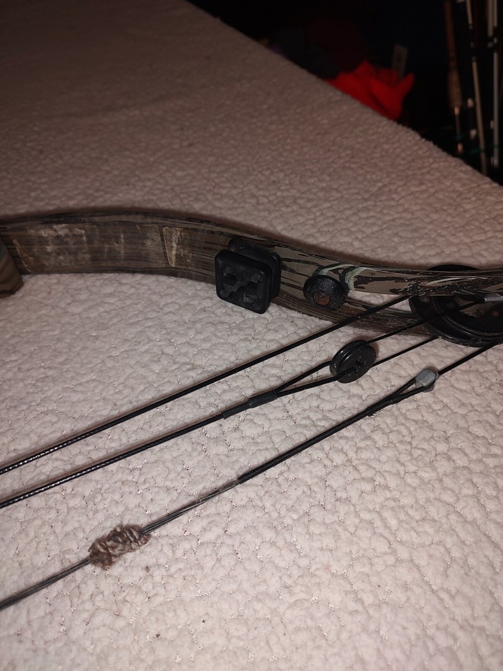 Golden Eagle Predator System Compound Bow | eBay