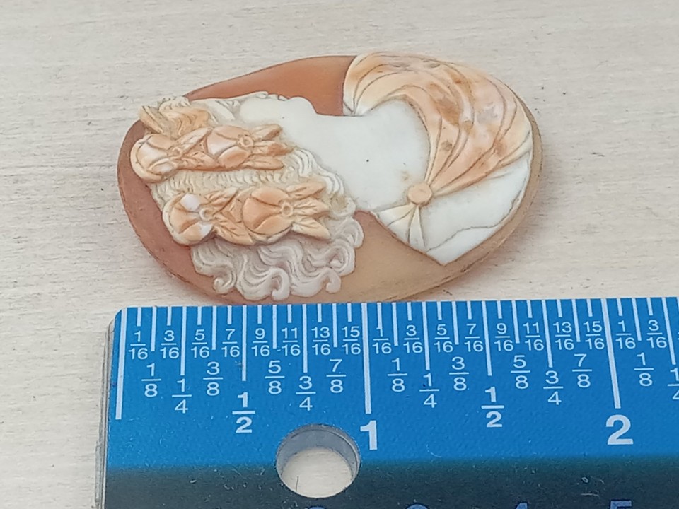 Beautiful Antique Loose Carved Oval Portrait Shell Cameo: Multi Tone in ...