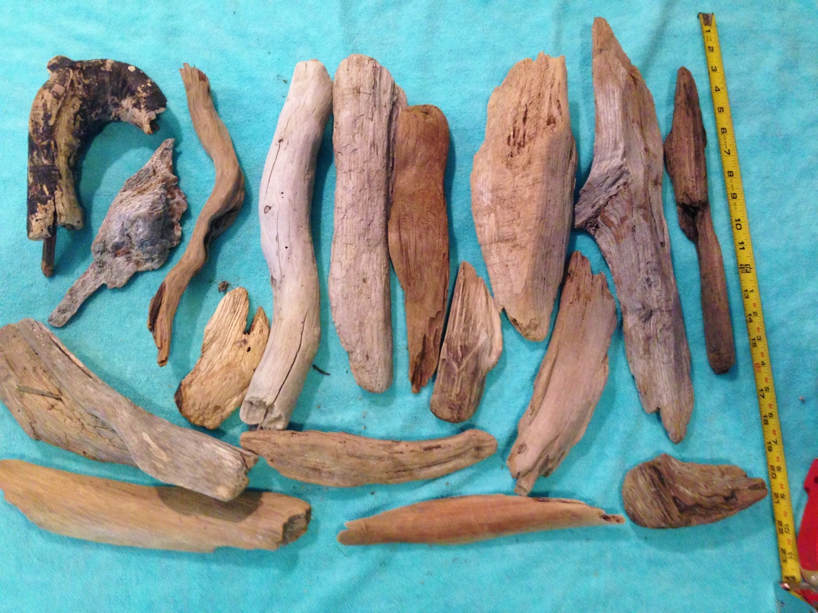 Bulk Driftwood 17 Piece (Lot 196) Beach Comber Craft Nautical | eBay