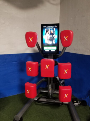 Nexersys Commercial Boxing Machine - Cleaned & Serviced | eBay