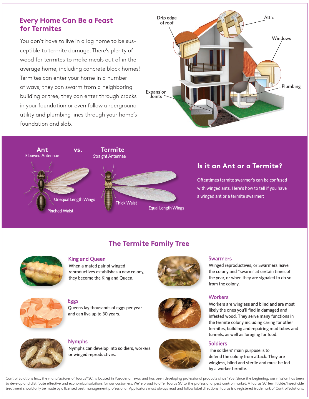 Taurus SC Insecticide (Ant & Termite Control) - 78 Oz. (Generic ...