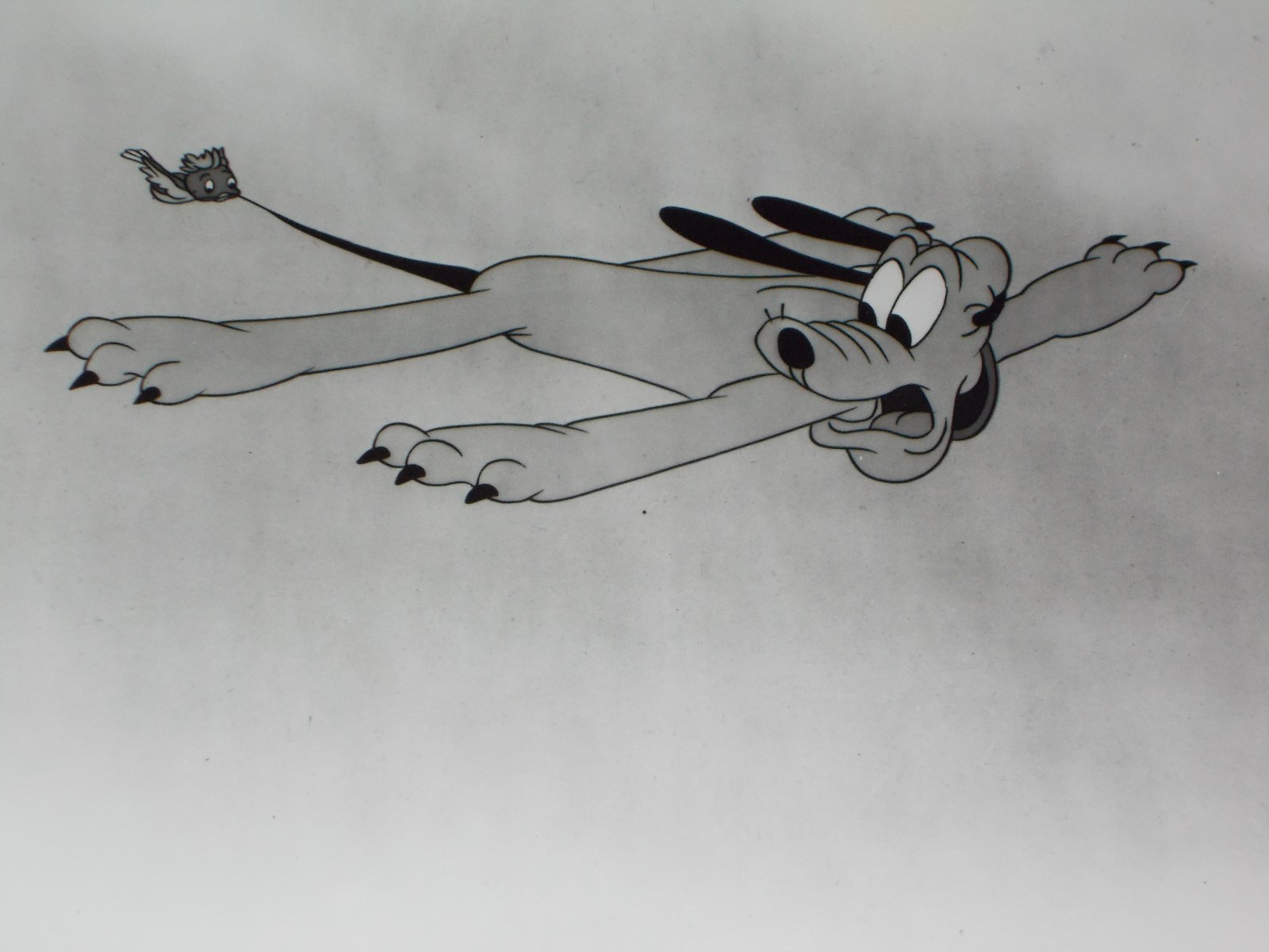 Rare Original VTG Walt Disney Pluto's Fledgling Cartoon Movie Photo ...