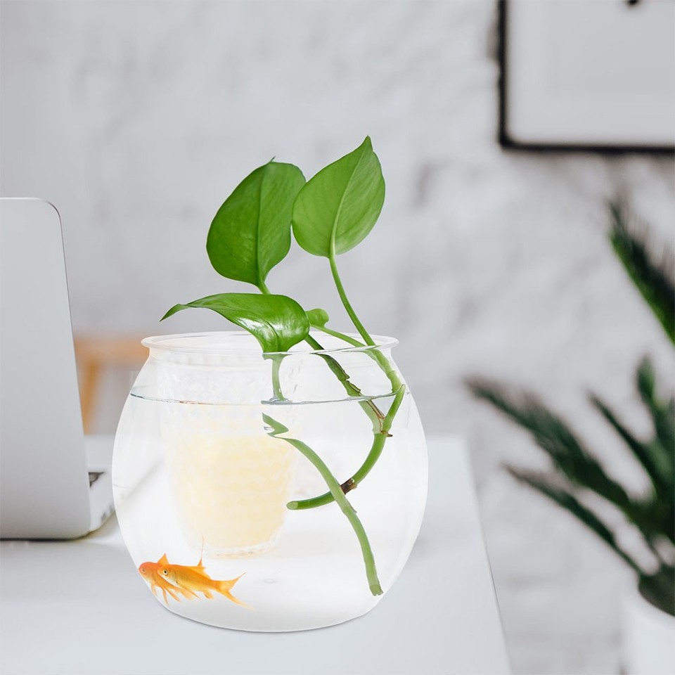 Plastic Fishing Bowl Fishbowl Aquarium Flower Pot Decorative Tank | eBay UK