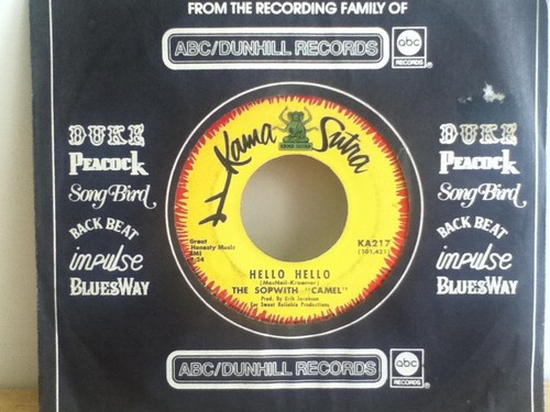 THE SOPWITH CAMEL 7" SINGLE , HELLO HELLO / TREADIN | eBay
