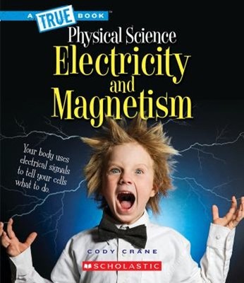 Electricity and Magnetism a True Book: Physical Science Library E ...