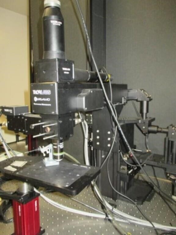 Thorlabs Bergamo Multiphoton Microscope w/Spectra-Physics Mai Tai HP ...