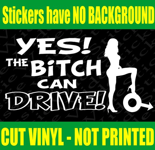 Funny BNS Bundy Chick Cute Girl ute mum Car Stickers CAN DRIVE 200mm ...