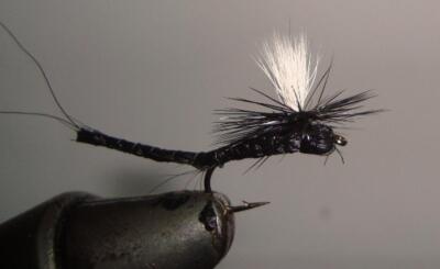 Lot of 6 Custom Angler Black Extended Mayfly Fly Fishing Flies Choice ...