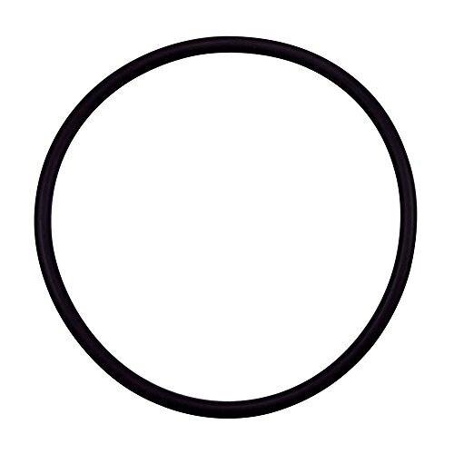 355331Z Pentair Pacfab Diffuser O-Ring | eBay