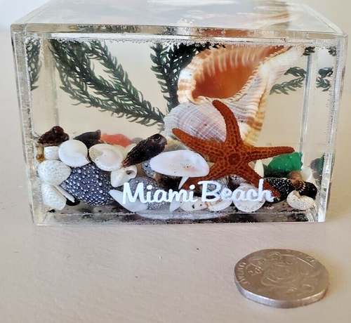 Vintage Desktop Miami Beach Florida Paperweight Sea Creatures Shells in ...