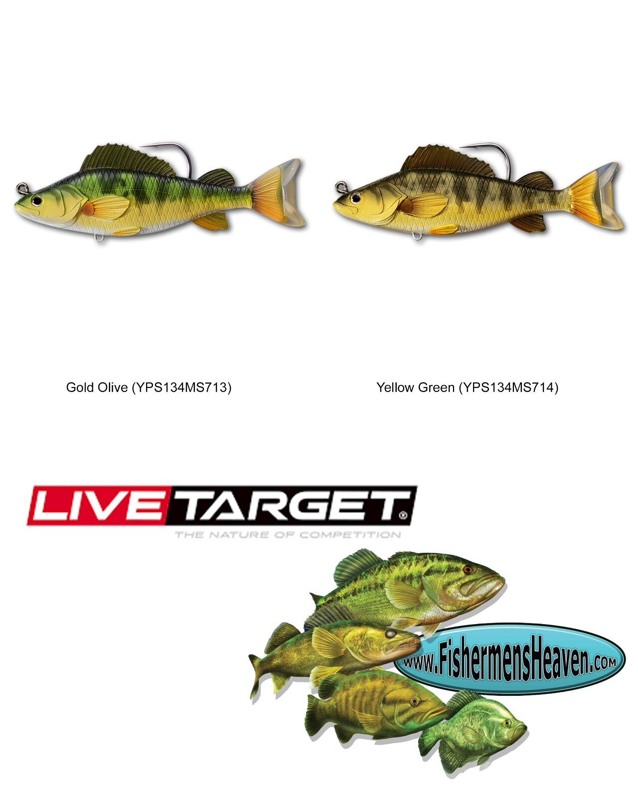 Live Target Yellow Perch Swimbait 5.5 Inches (YPS134MS) Pick from 2 ...