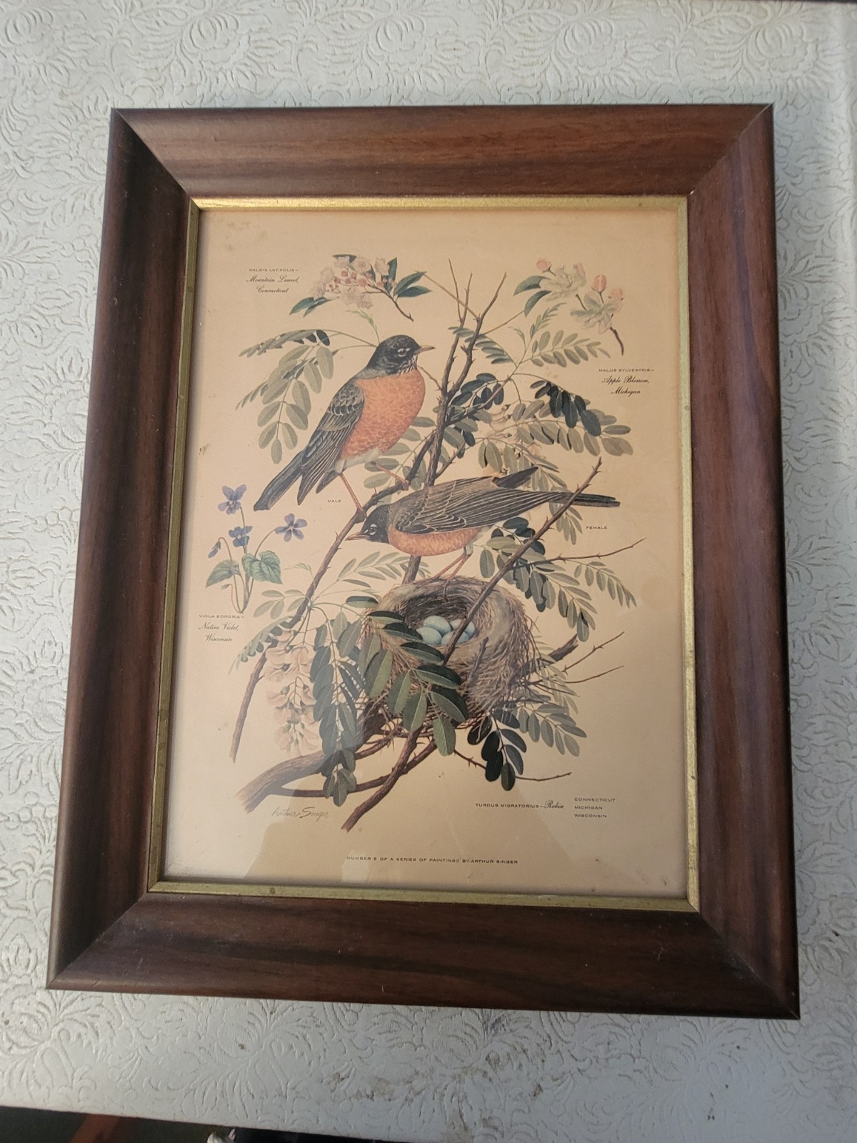 Vintage Arthur Singer Framed Bird Wall Art Picture Print - Robins | eBay