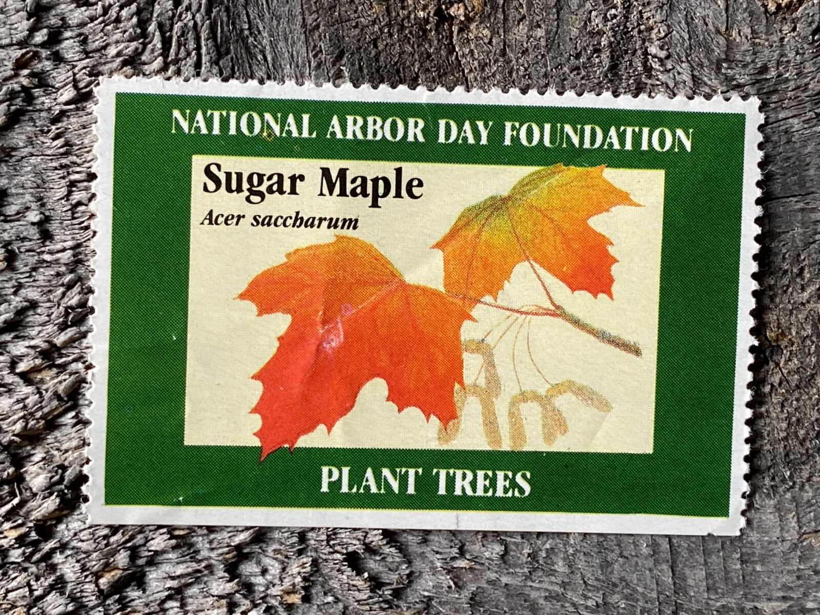 US NATIONAL ARBOR DAY FOUNDATION - PLANT TREES NEAR MINT LABELS YOU ...
