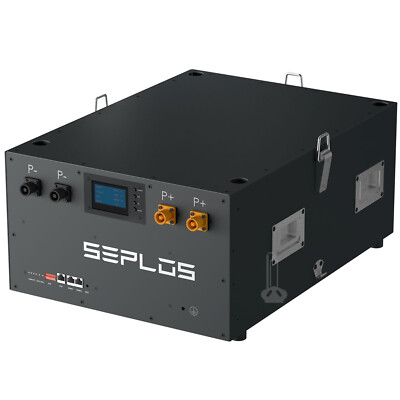 SEPLOS MASON Gehäuse 230 280 mit 200A BMS 48V 16S Bausatz für LiFePo4 ...