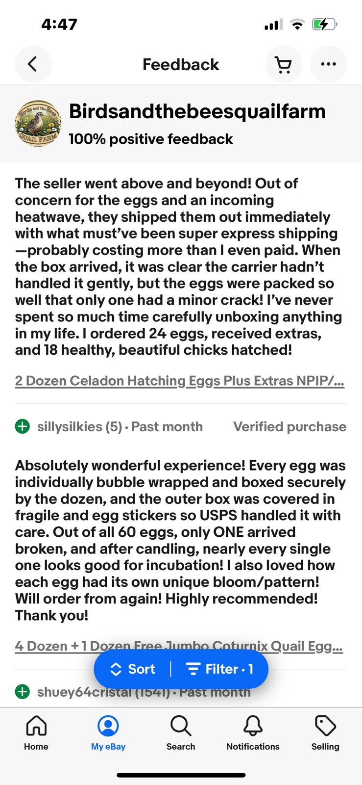 2 Dozen Jumbo Coturnix Quail Hatching Eggs ..plus Extras NPIP / AI ...