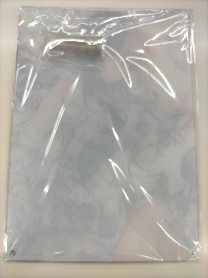 Vspo Model Tachibana Hinano 2Nd Anniversary Acrylic Panel Virtual ...