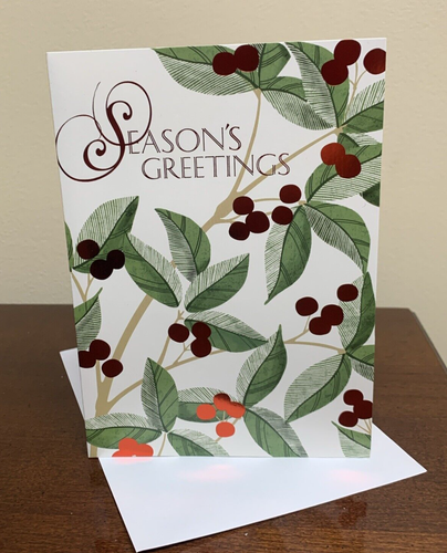Season's Greetings Red Cardinal Friends Friendship Greeting Cards - Set ...