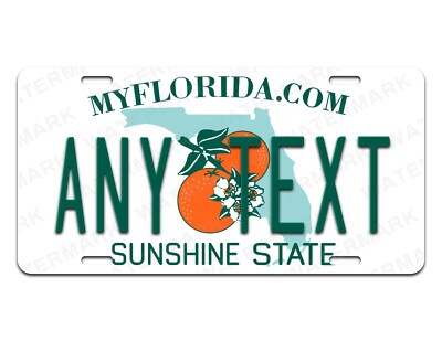 Florida Personalized Custom Aluminum License Plate Tag Any Text Your ...