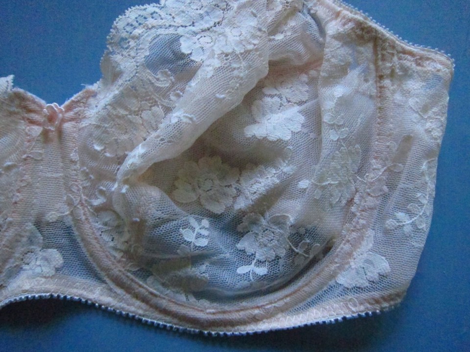 VINTAGE BALI Beige Sheer Floral Lace Unlined Full Coverage Underwire ...
