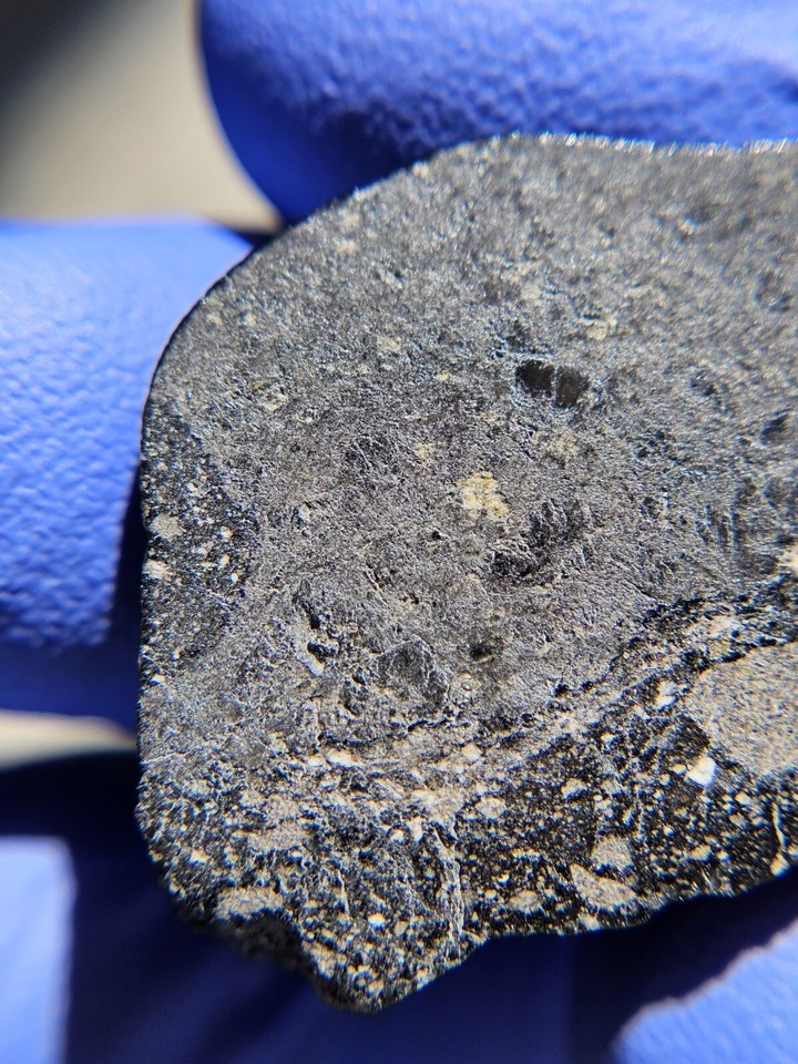 Meteorite**NWA 16349, Lunar Mare Basalt/Gabbro Breccia**12.184 grams ...