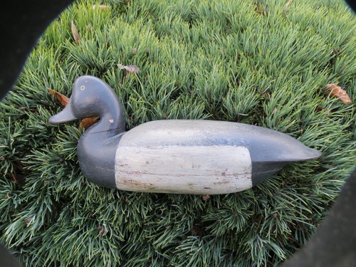 Lloyd Parker scaup decoy circa 1920 | eBay