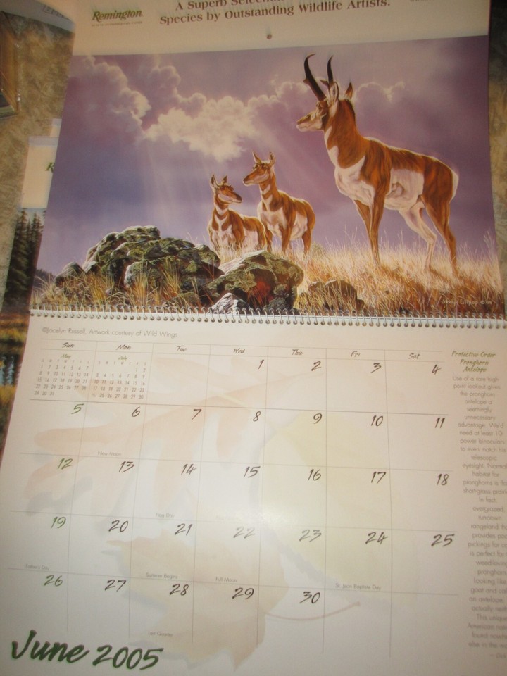 Remington's Calendar 2005 SELECTION OF SCENES AND SPECIES BY ARTISTS ...