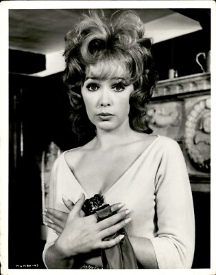 BR45 Rare Original Photo STELLA STEVENS Beautiful Pouting Actress Busty ...