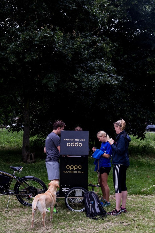 Black Friday Bike Trailer Eco Friendly Car Free Y Small, Large, XL ...