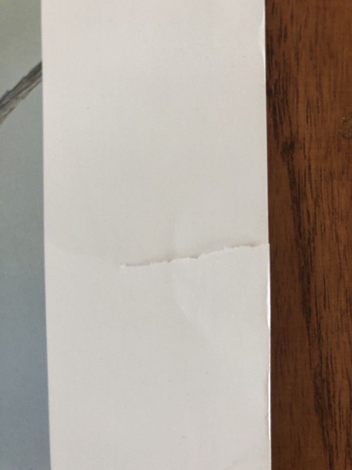 Green-Wing Squadron Poster Art Print Bob Binks Ducks Unlimited #’d ...