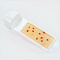 Dipslides, Bacteria Item # 56B010110 Made by Lovibond | eBay