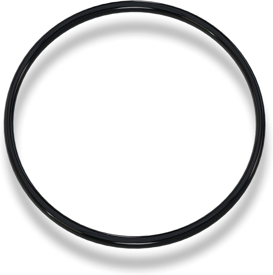 Pool Pump O-Ring Replacement – O-Ring for Pool Pump Replacement for ...