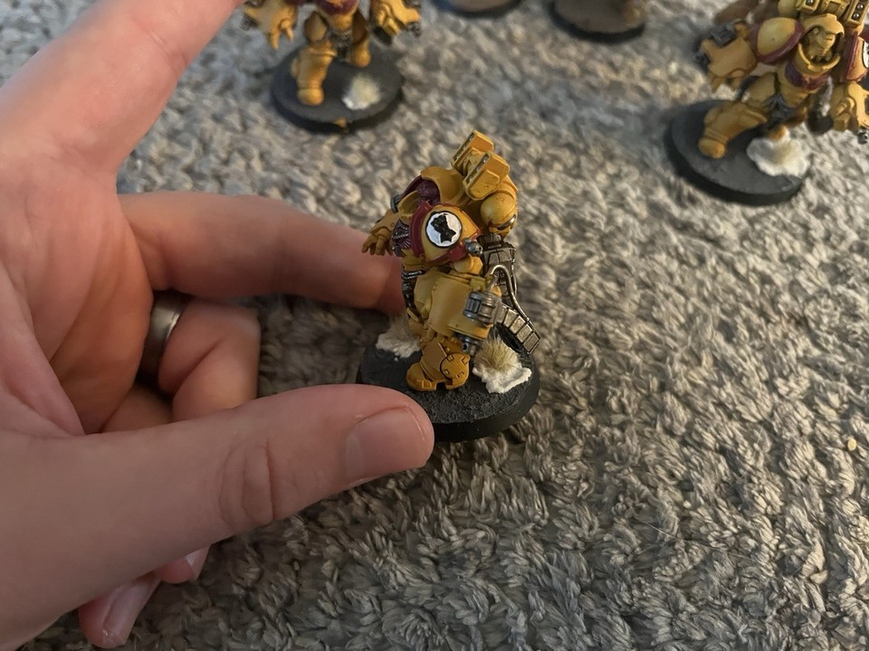 Warhammer 40k Painted Imperial Fists Lot Aggressor Squad, Lysander, And ...