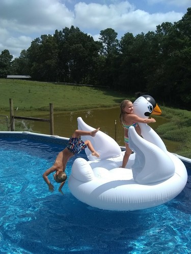 Intex Mega Swan Island White Inflatable Swimming Pool Float Ride on ...