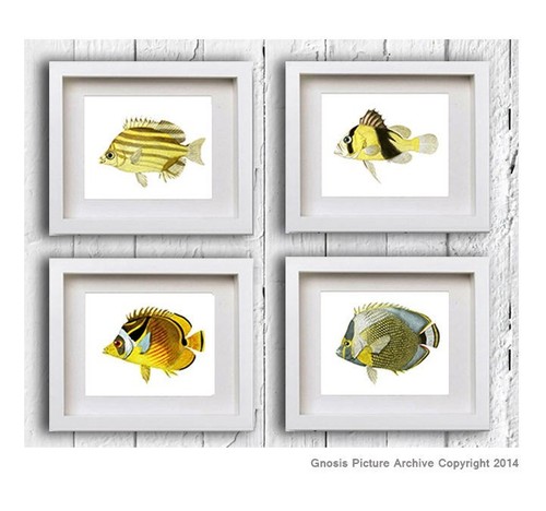 Tropical Fish Prints set of 4 unframed art prints Coastal Decor Beach ...