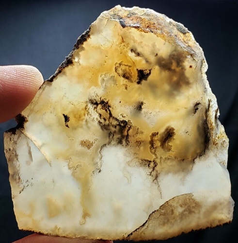 Plume Agate rough slab from Oregon (2.0 oz.) | eBay