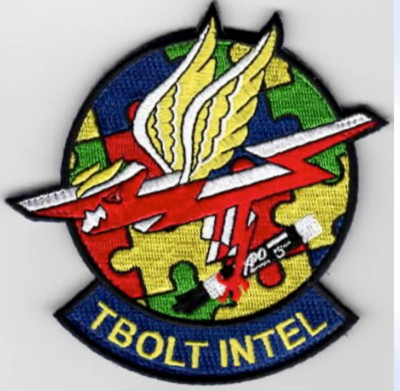 4.25" AIR FORCE 389FS TBOLT INTEL EMBROIDERED PATCH | eBay