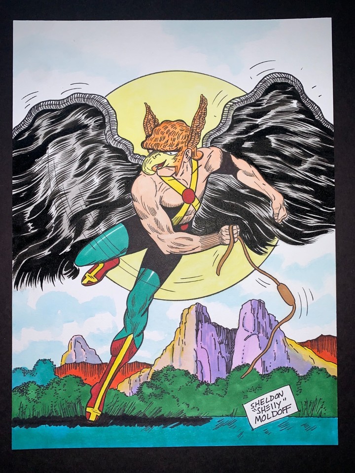 Original Art HAWKMAN hand drawn, colored & signed by SHELDON MOLDOFF | eBay