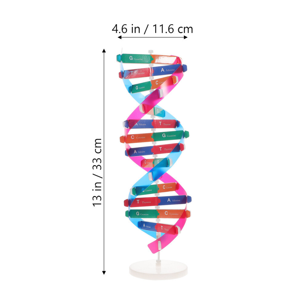 Double Helix Genes DNA Model Science Toy for Education | eBay