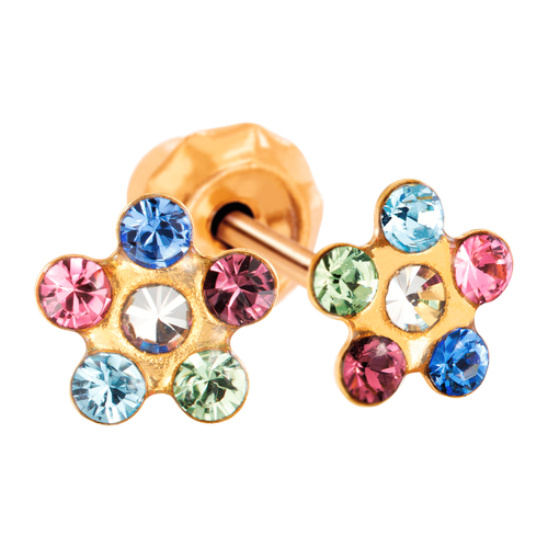 Inverness Home Ear Piercing Kit with Stud Earrings in 14K Gold | eBay