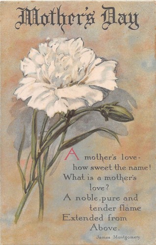 1915 Mother's Day Postcard-Beautiful White Carnation & Poem by James ...