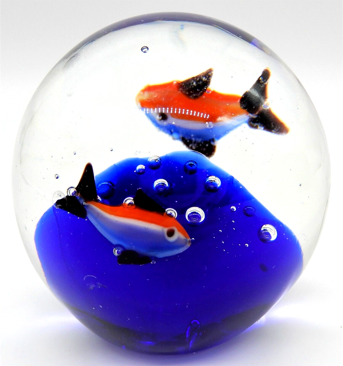 Red Fish Bubbles Blue Red Honey Gourami