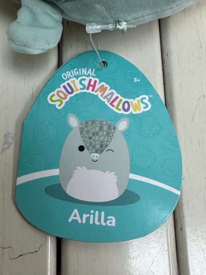 NEW Squishmallows 5” Inch Arilla The Green Armadillo Desert Squad ...