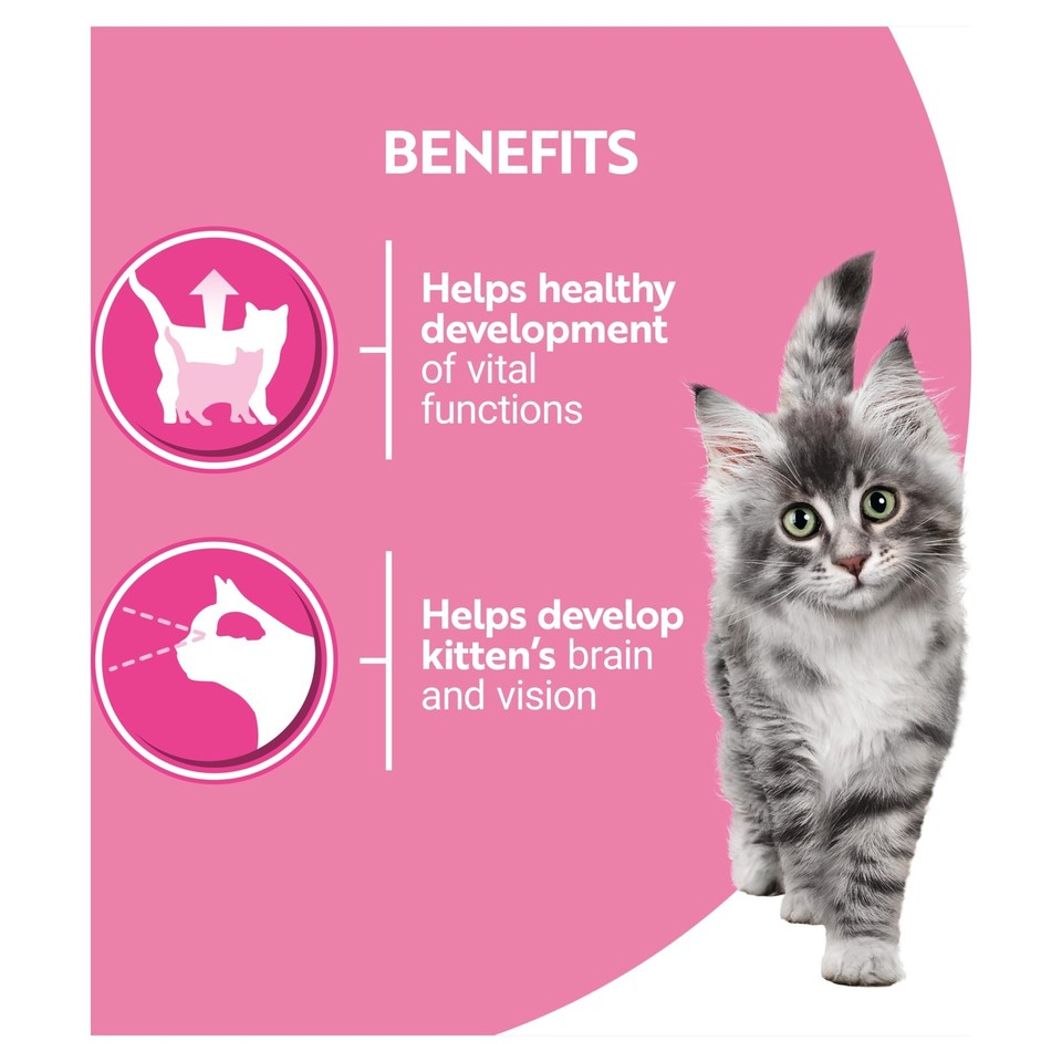 PURINA ONE Kitten Mini Fillets Salmon and Chicken Wet Cat Food 8x85g ...