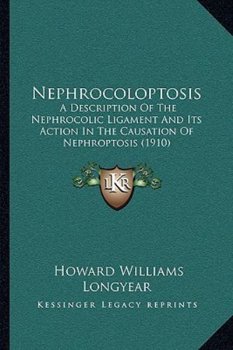 Nephrocoloptosis : A Description of the Nephrocolic Ligament and Its ...