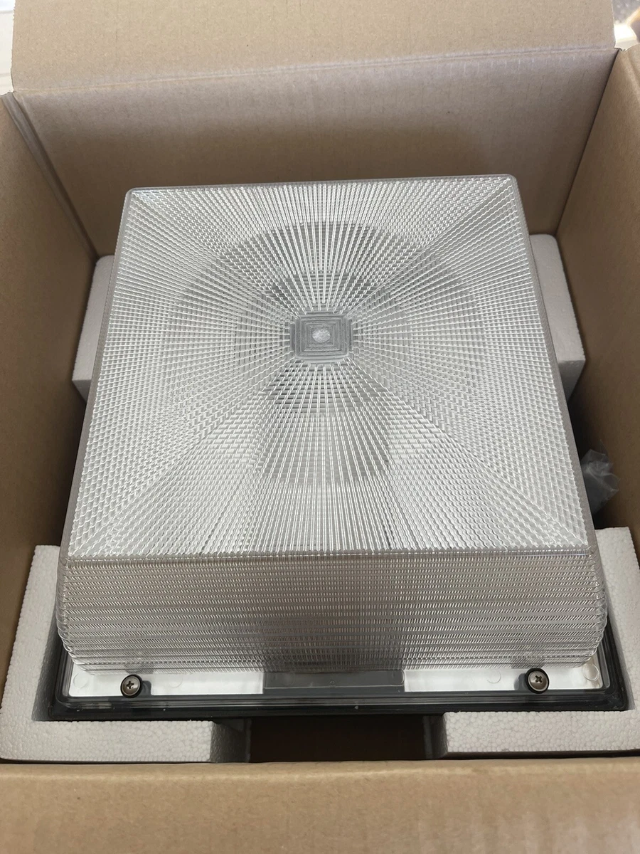 Vandal Resistant Exterior Lighting | Shelly Lighting