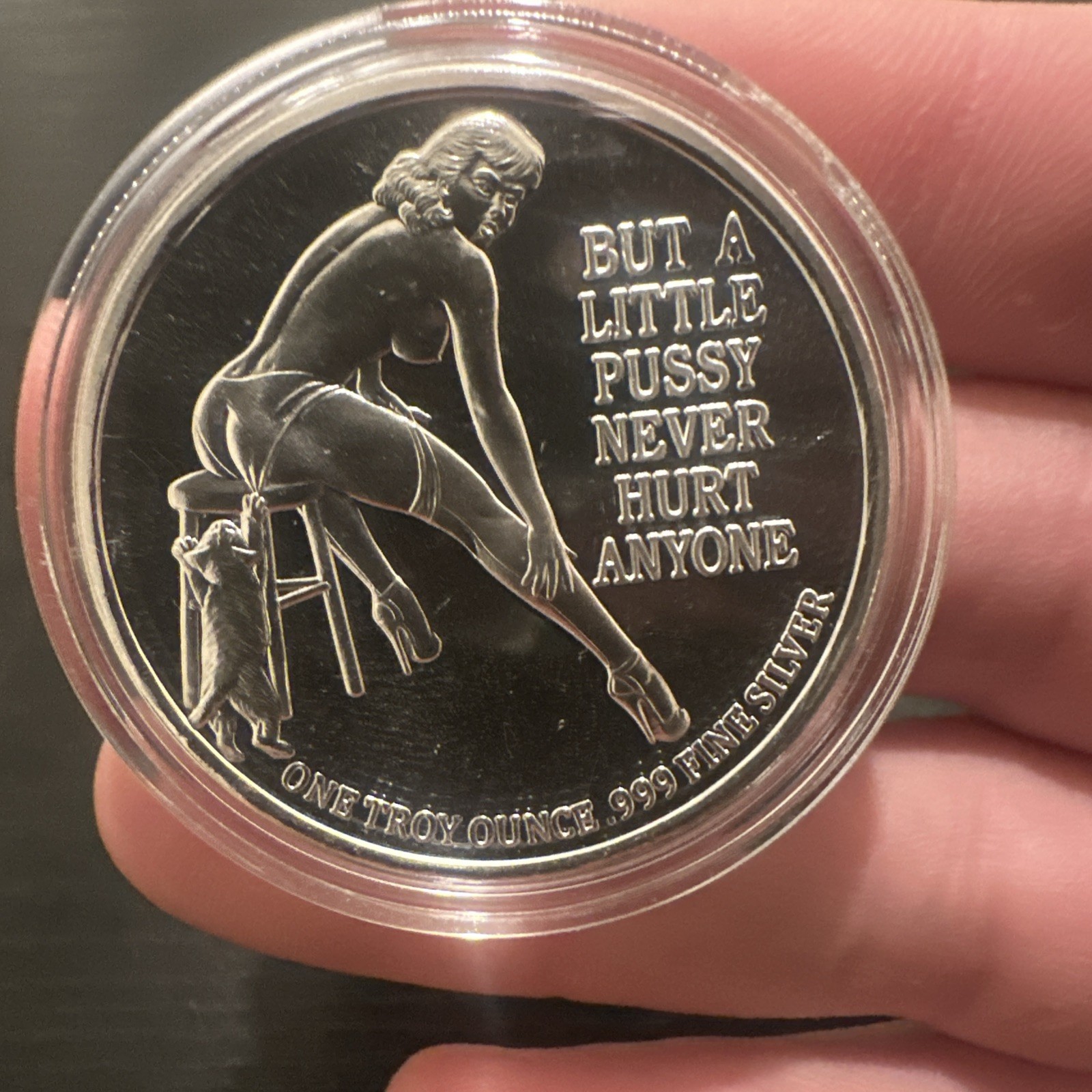 Big Cats Are Dangerous But A Little Pussy 1 Oz 999 Fine Silver Round ...