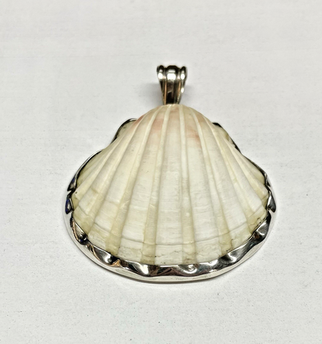 Natural Seashell Pendant Set in .925 Sterling Silver Half Clamshell | eBay